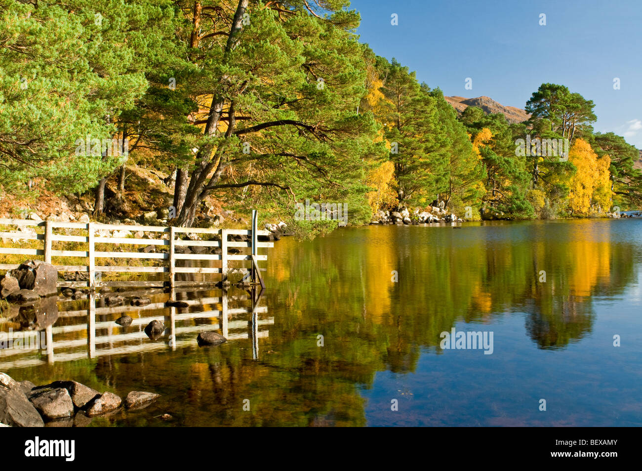 5417 hi-res stock photography and images - Alamy