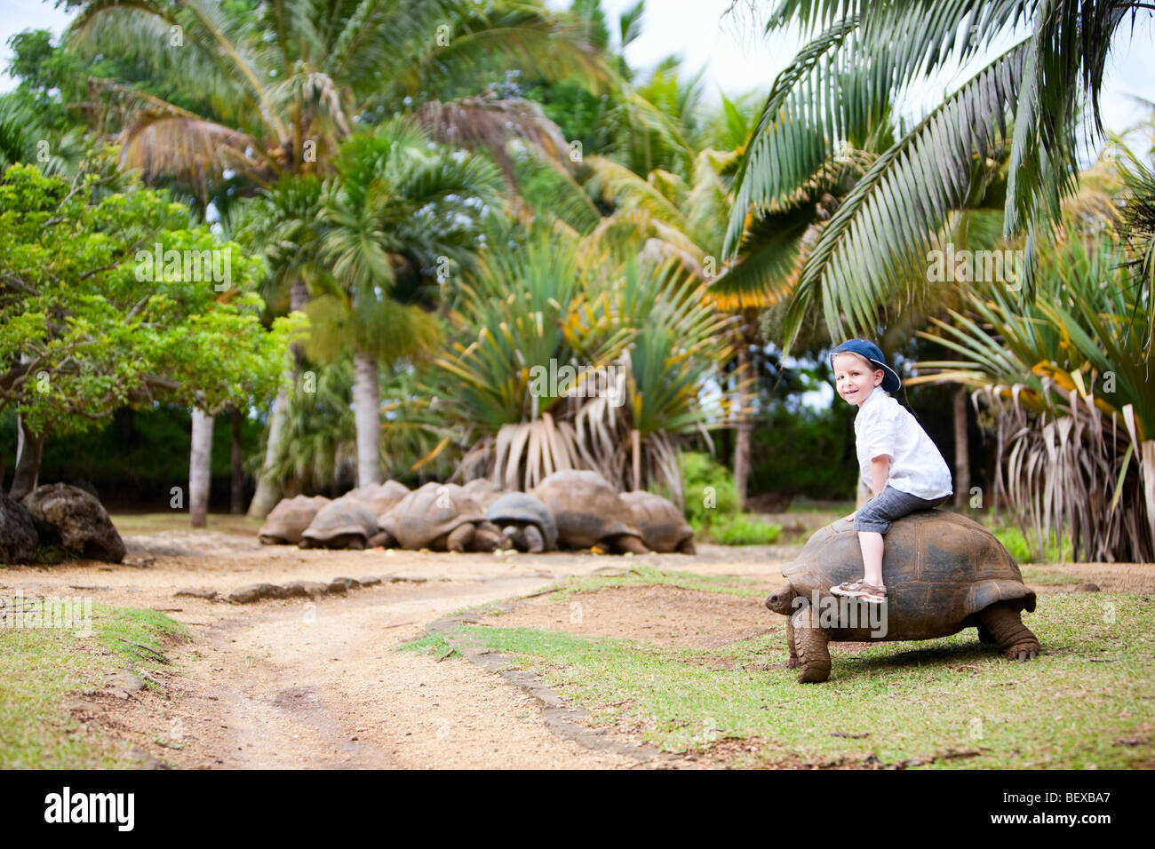 Mauritius boy portrait hi-res stock photography and images - Alamy