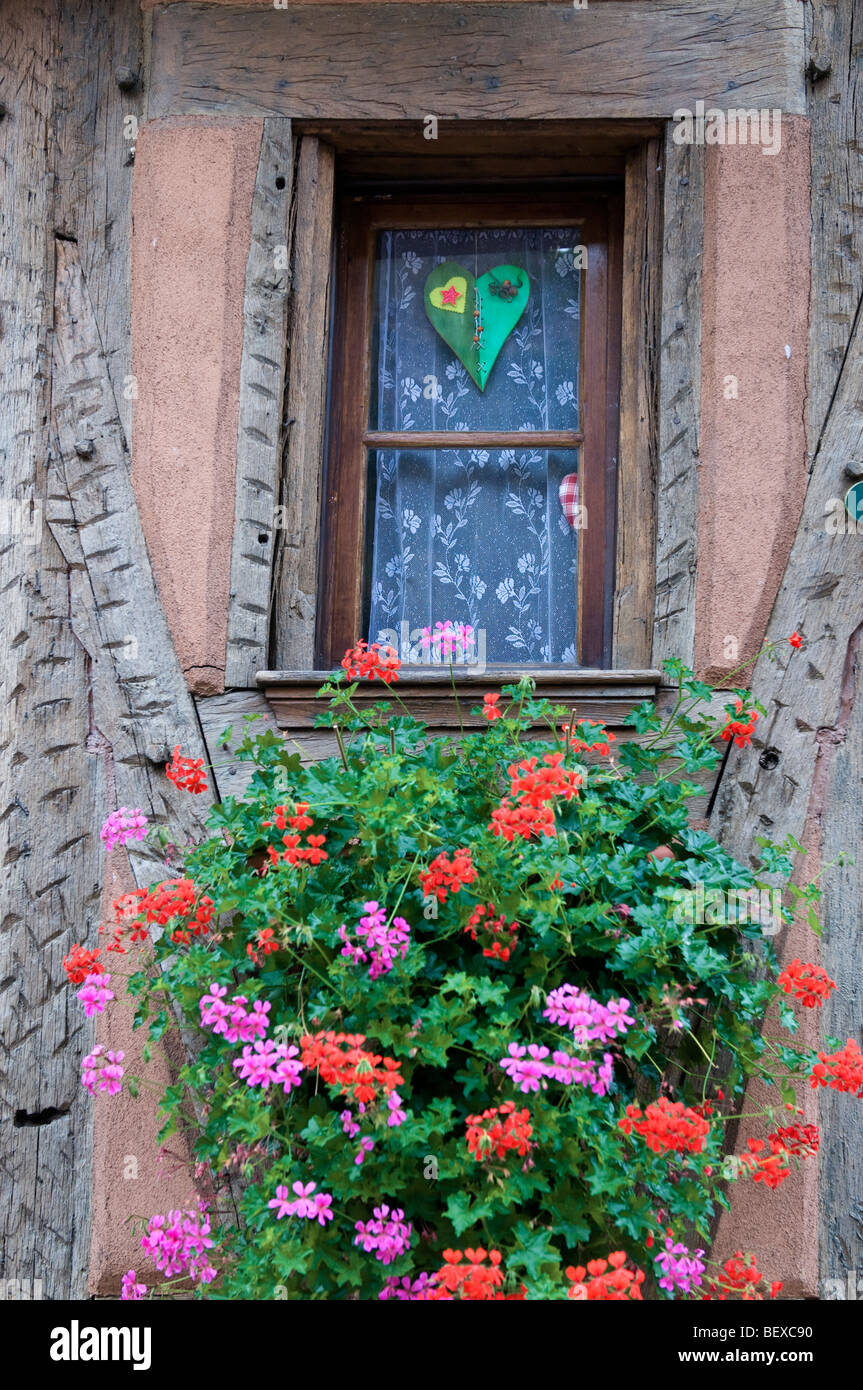 Colourful window box outside typical traditional half timbered house in ...