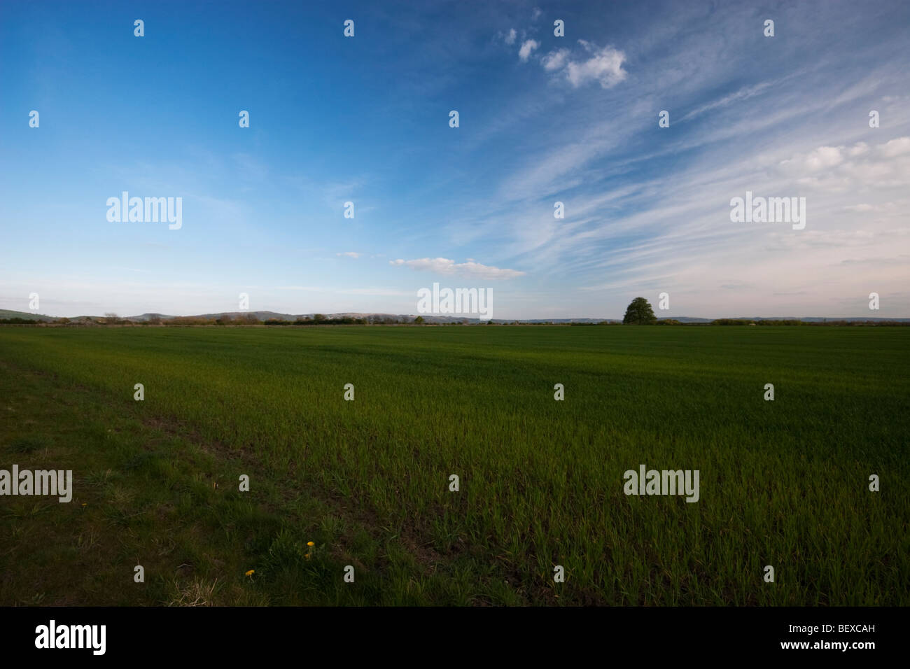 Cleeve Hill Viewed from Walton Cardiff Stock Photo - Alamy