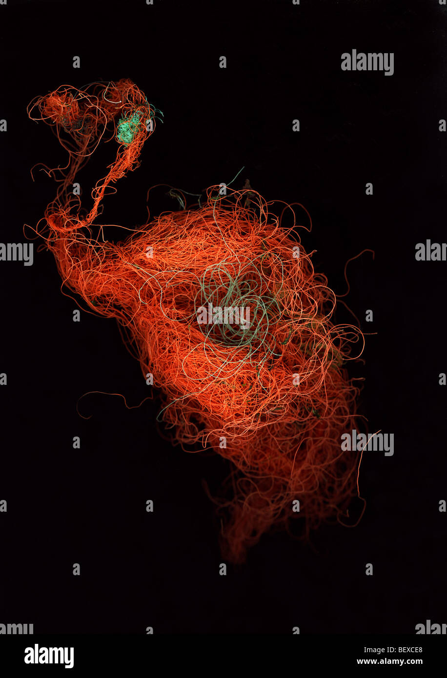 plastic bag pollution environment eco sea marine pollution flotsam ...