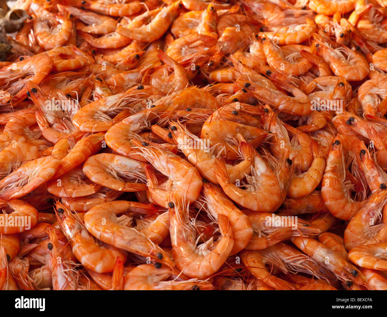 Paris fishmonger hi-res stock photography and images - Alamy