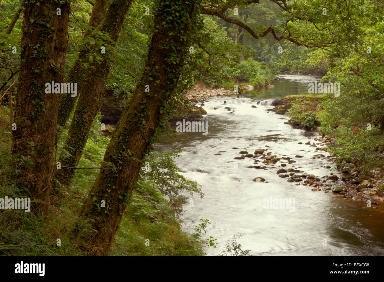 A Devon river Stock Photo - Alamy