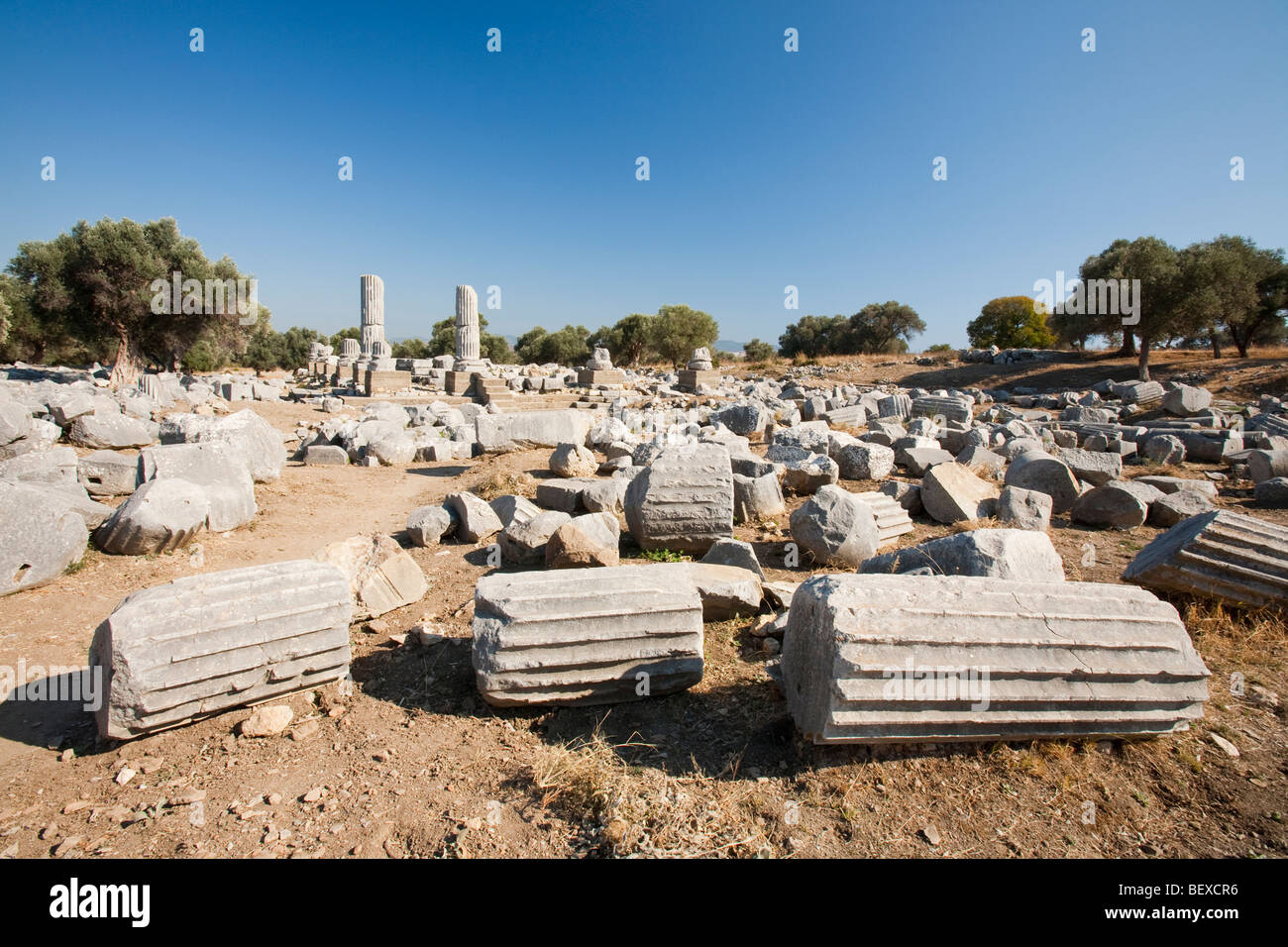 The Temple of Dionysos in Teso, Turkey Stock Photo - Alamy
