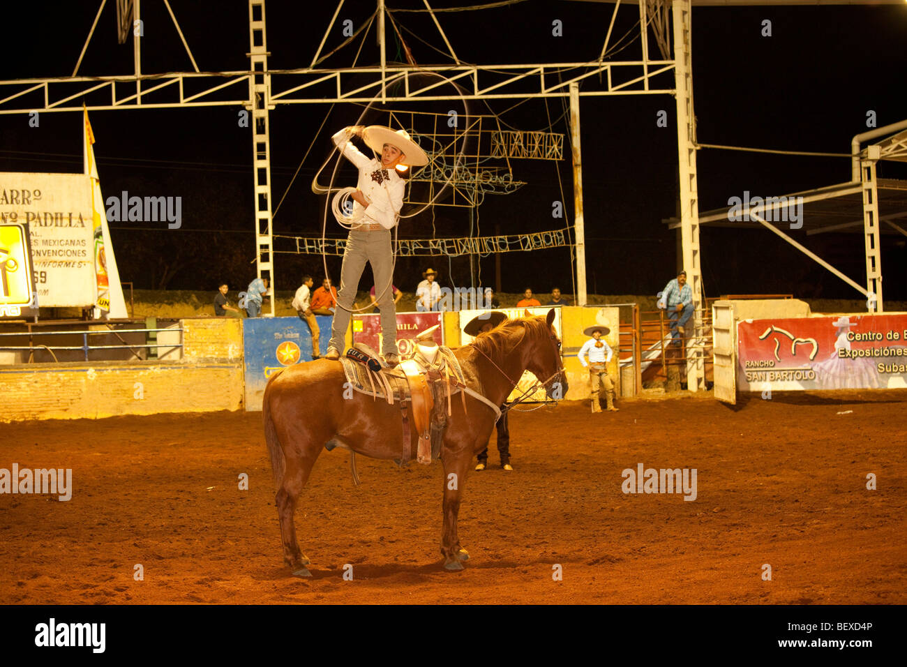 Mexican Dancing Horses Charro Utube