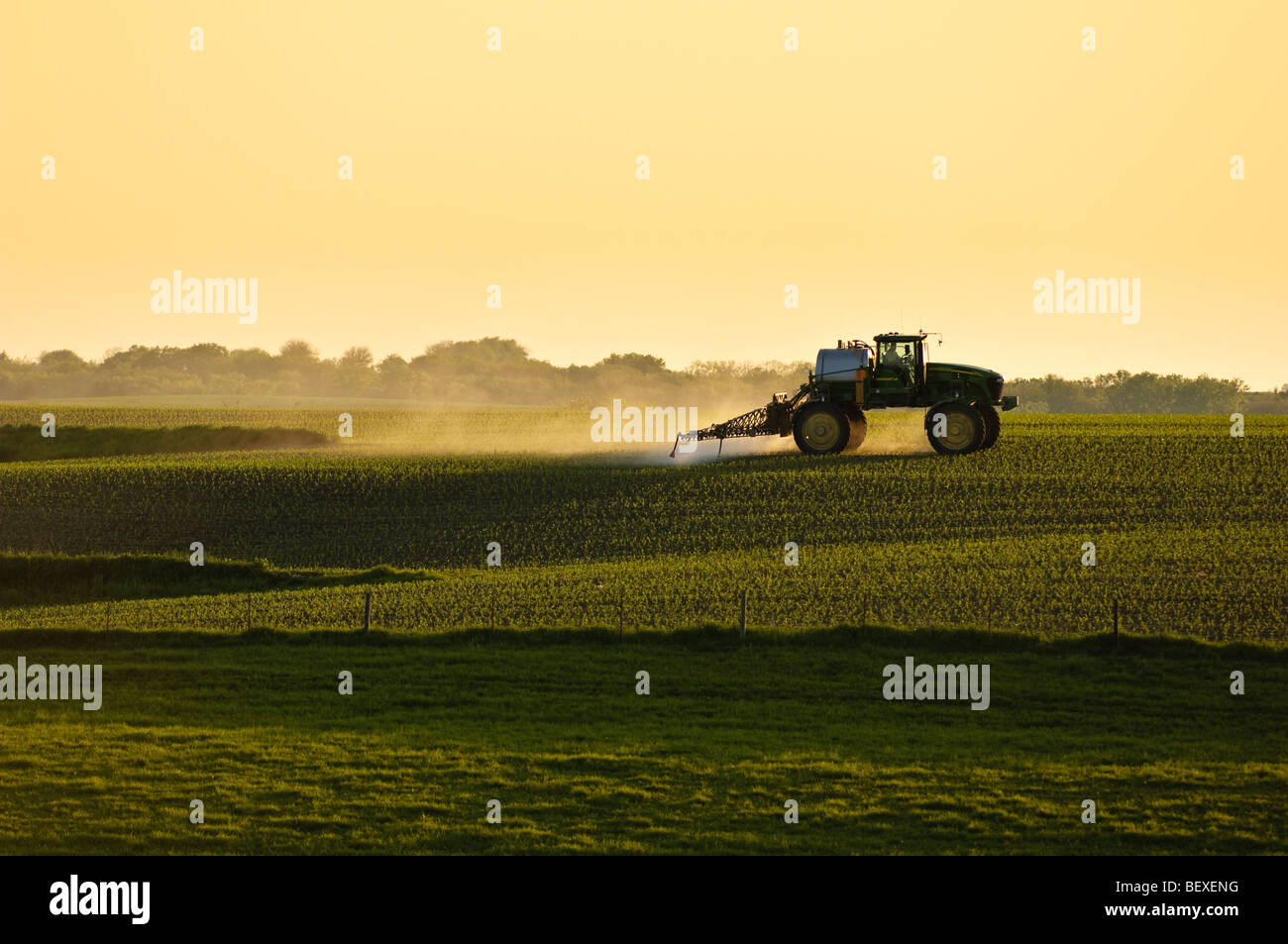 Herbicide application early post emergence hi-res stock photography and ...