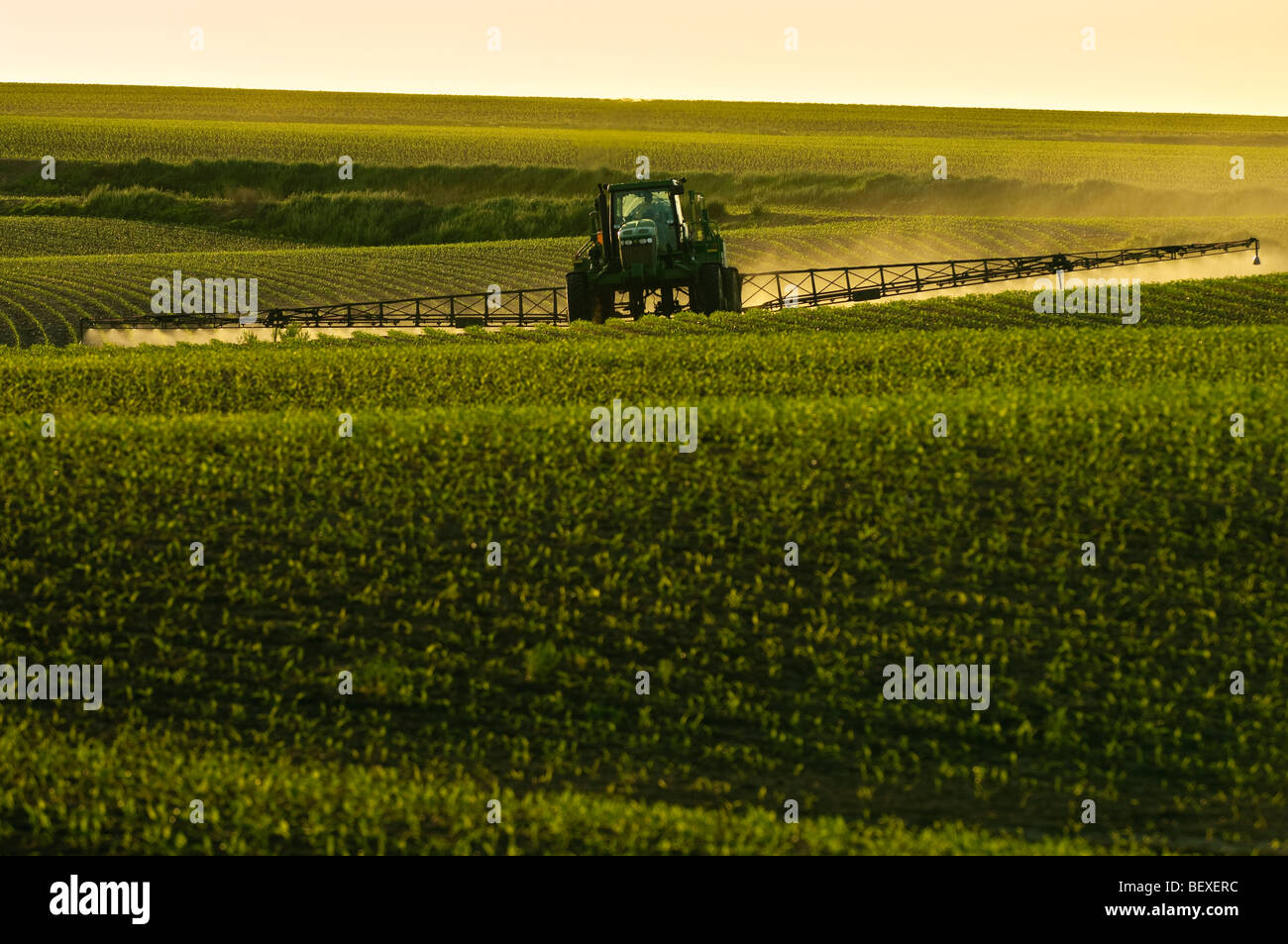Herbicide application early post emergence hi-res stock photography and ...