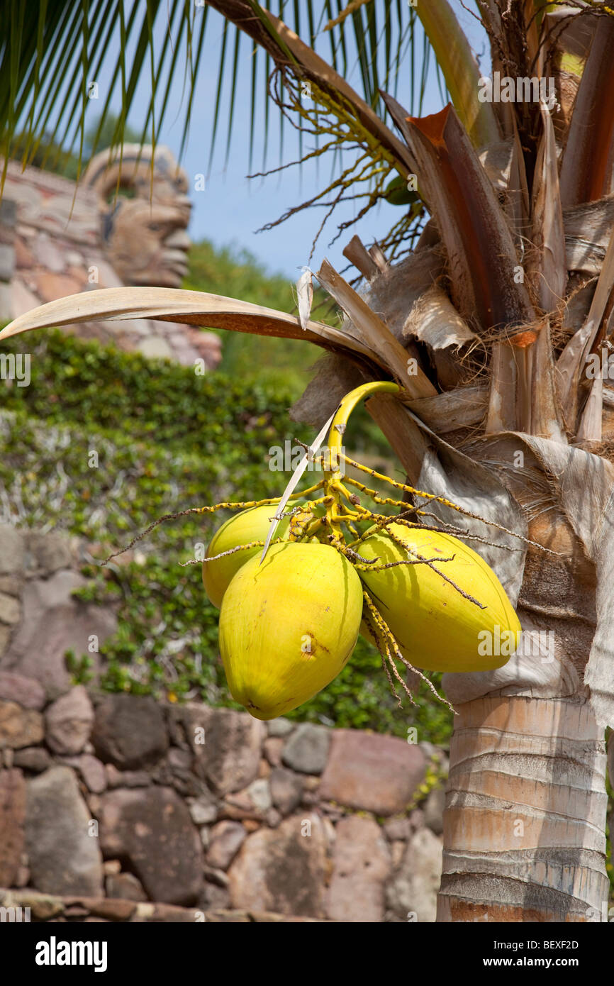 Monte Coxala Spa Ecologico, Ajijic, Lake Chapala, Jalisco, Mexico Stock ...