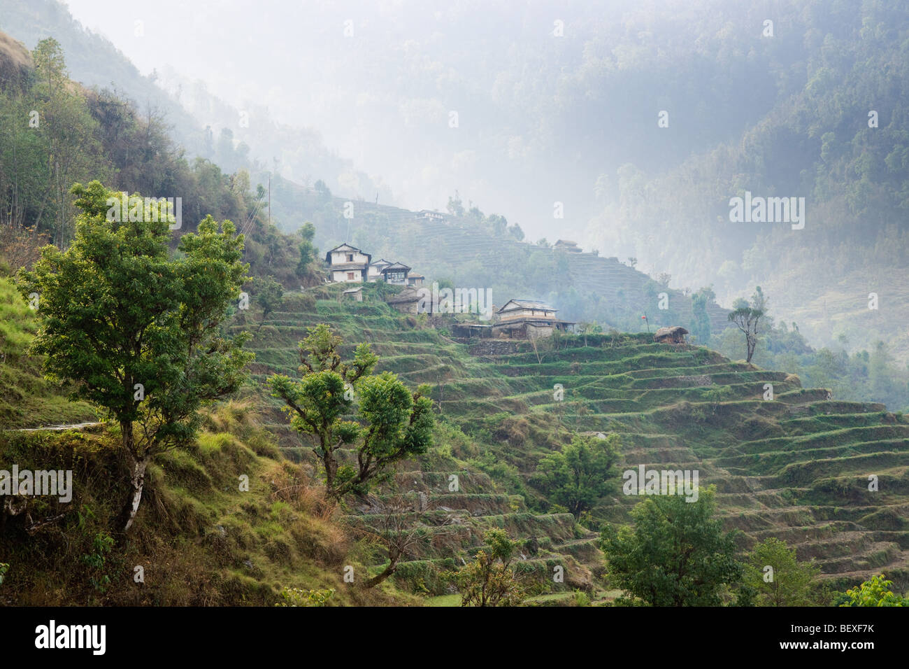 Nepal irrigation farm hi-res stock photography and images - Alamy