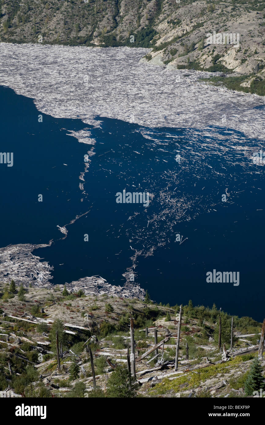 Spirit Lake Log Mat at Jennifer Johansen blog