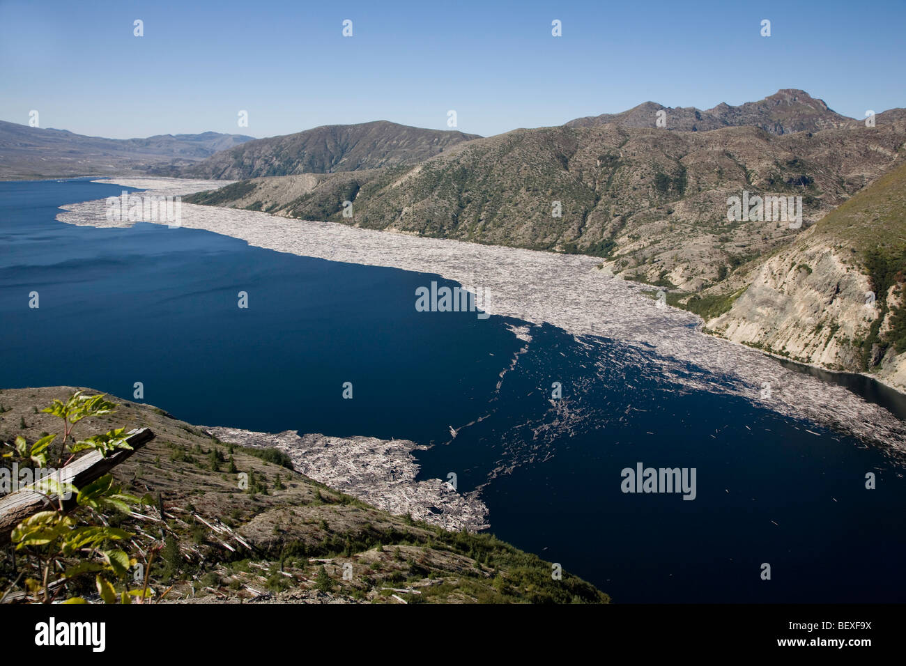 Spirit Lake Log Mat at Jennifer Johansen blog