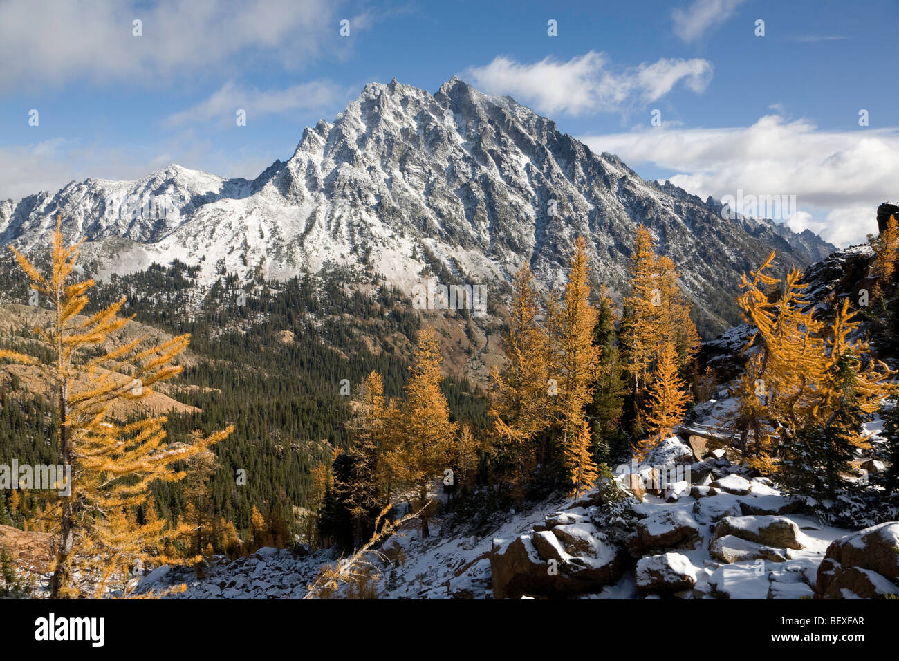 Mount Stuart with Larch Trees turning gold in the Autumn, Lake Ingalls ...