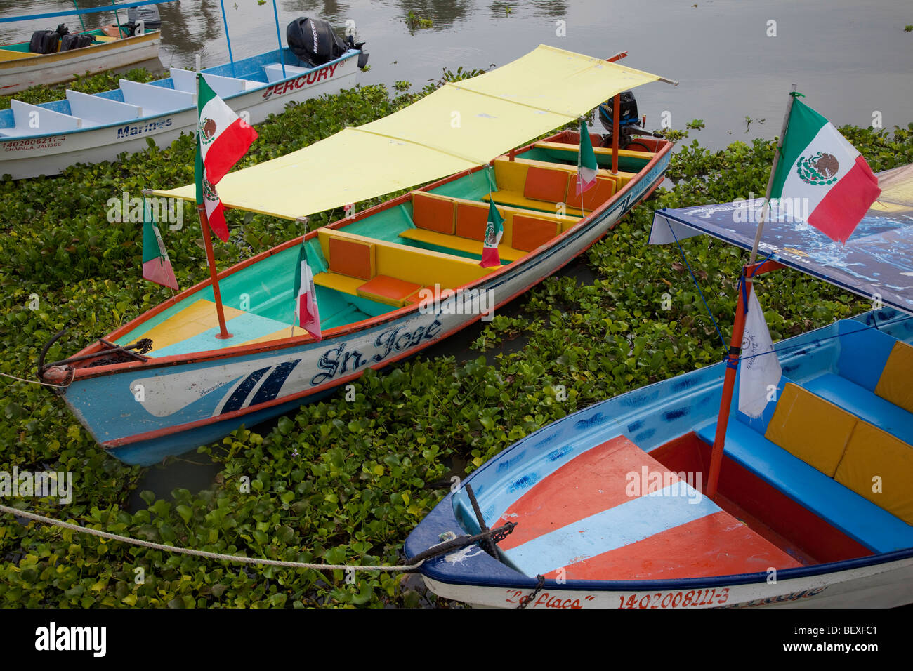 Chapala, Lake Chapala, Jalisco, Mexico Stock Photo - Alamy