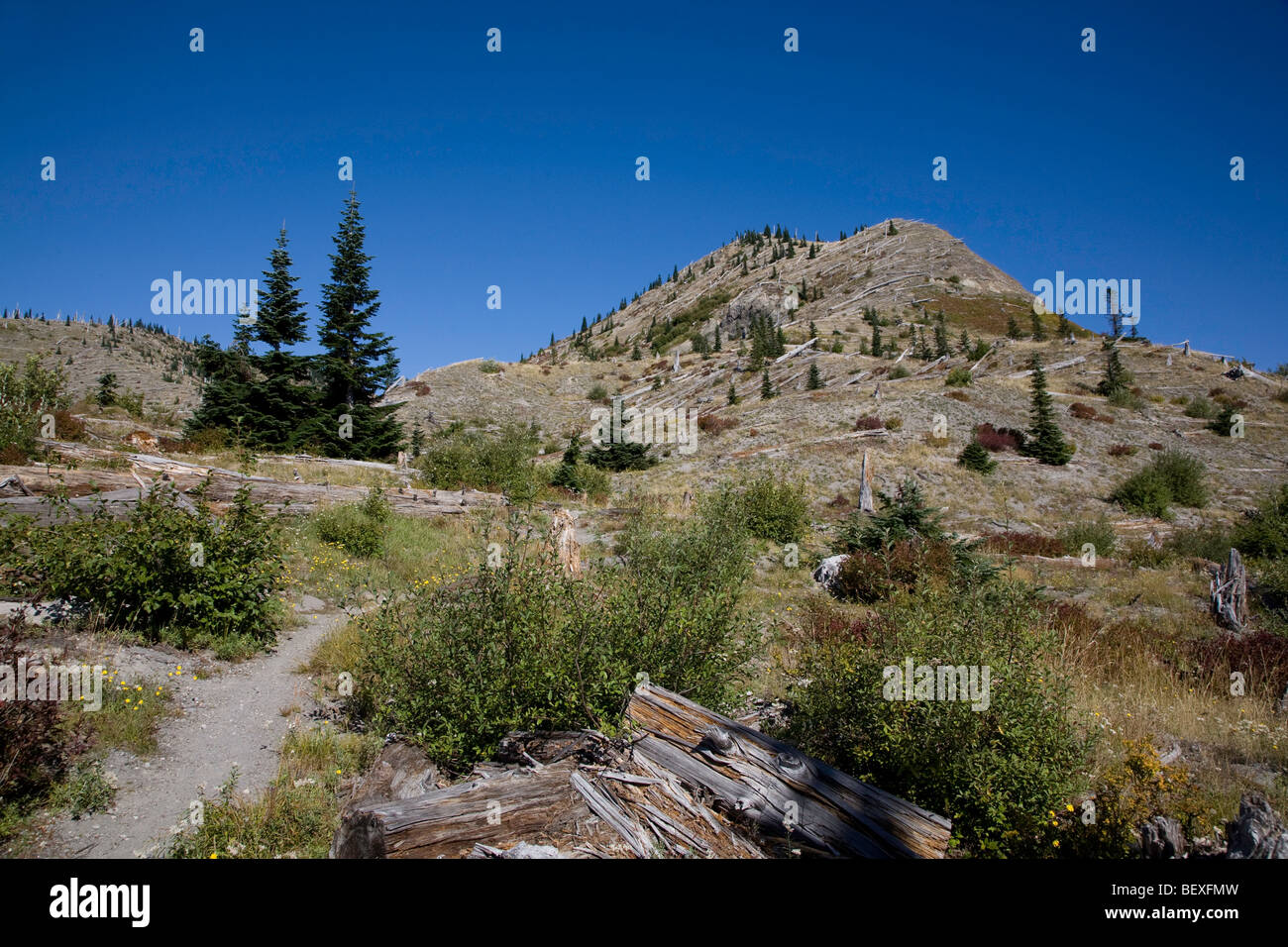Independence Pass Trail, Mount St. Helens National Volcanic Monument ...