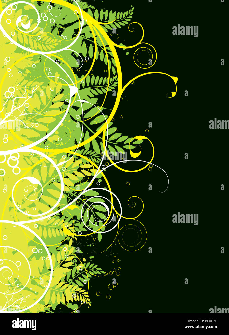 Nature inspired background with floral elements and leaves Stock Photo ...