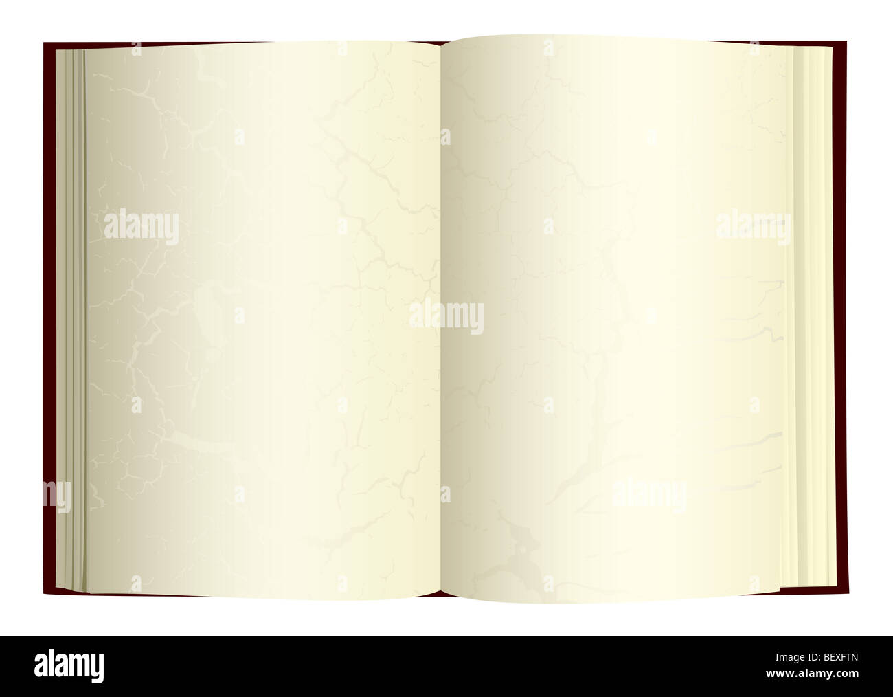 Illustrated open book with blank pages and gothic grunge Stock Photo ...