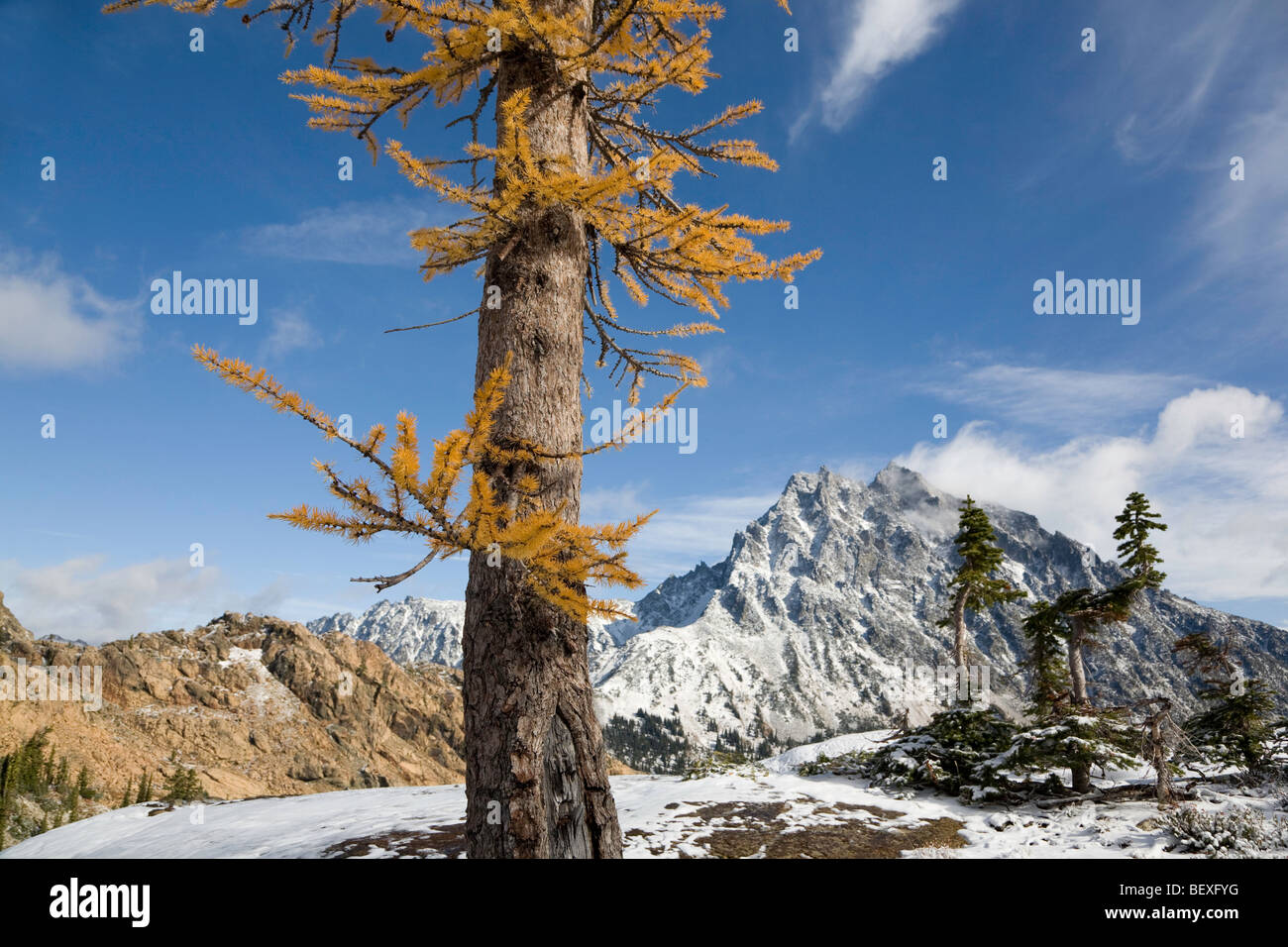 Mount Stuart with Larch Trees turning gold in the Autumn, Lake Ingalls ...