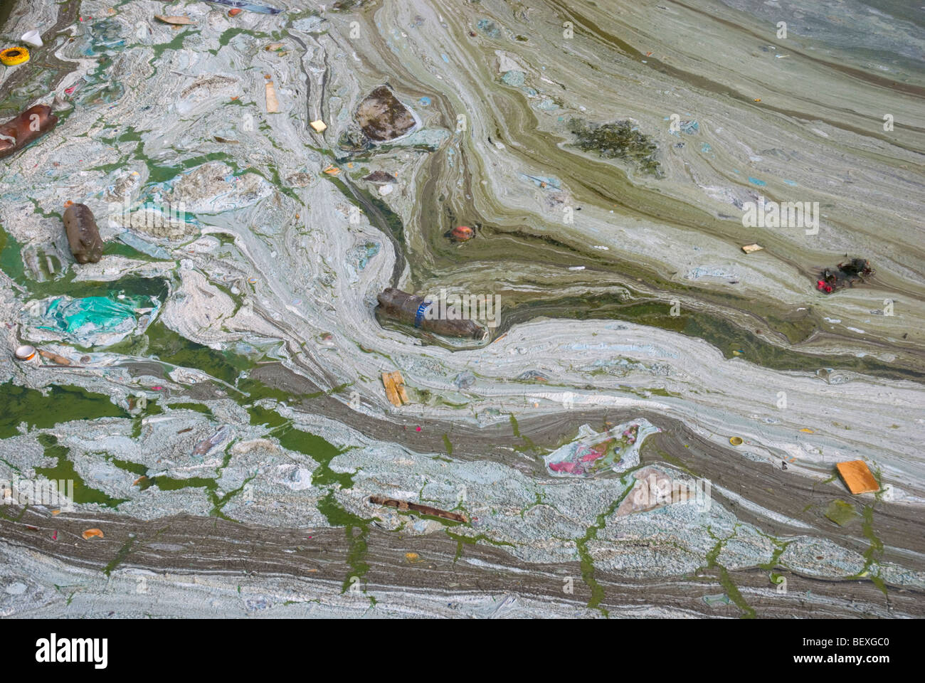 Filthy water Baltic Sea Europe Stock Photo - Alamy