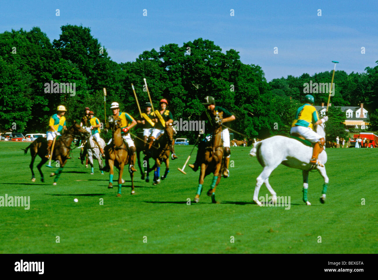 Polo play buenos aires hi-res stock photography and images - Alamy