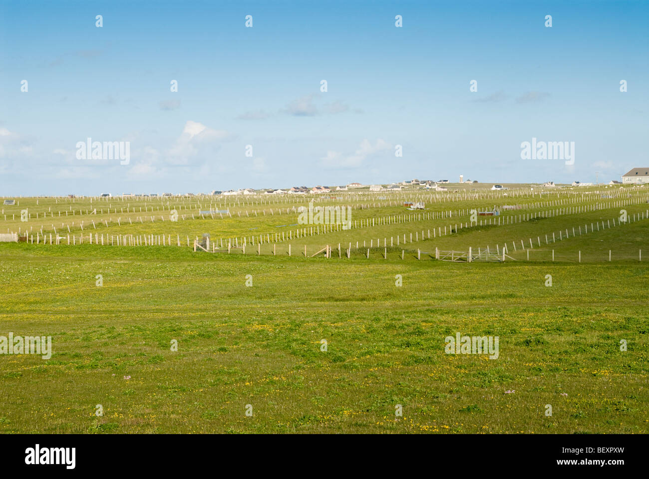 Croft land hi-res stock photography and images - Alamy