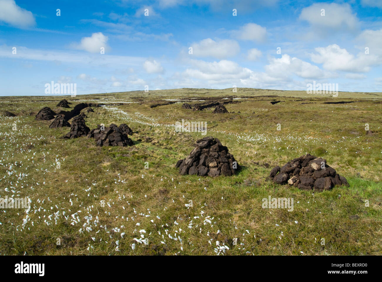 Peat cut and stacked to dry on moorland near Port of Ness, Isle of ...