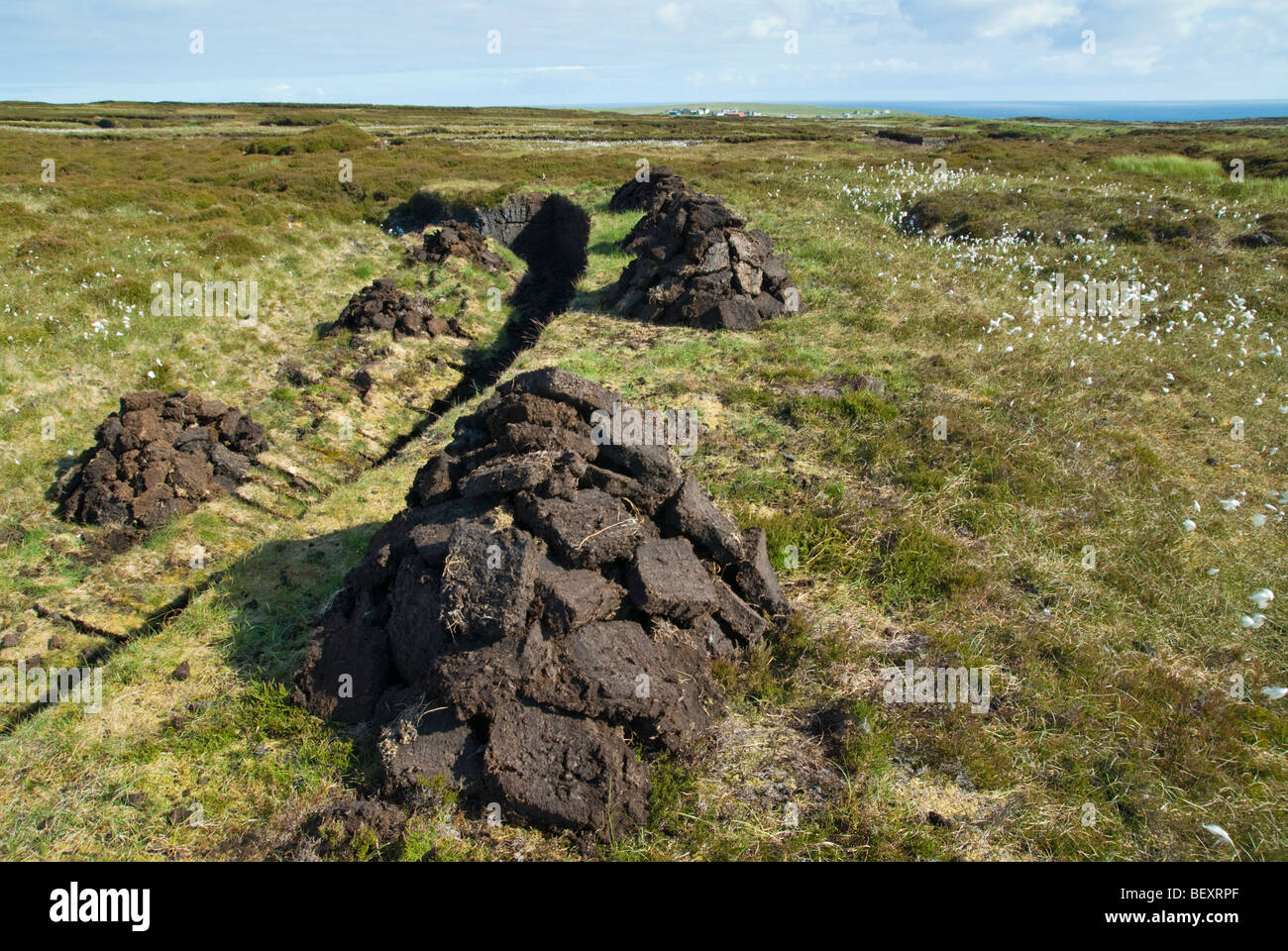 Peat cut and stacked to dry on moorland near Port of Ness, Isle of ...