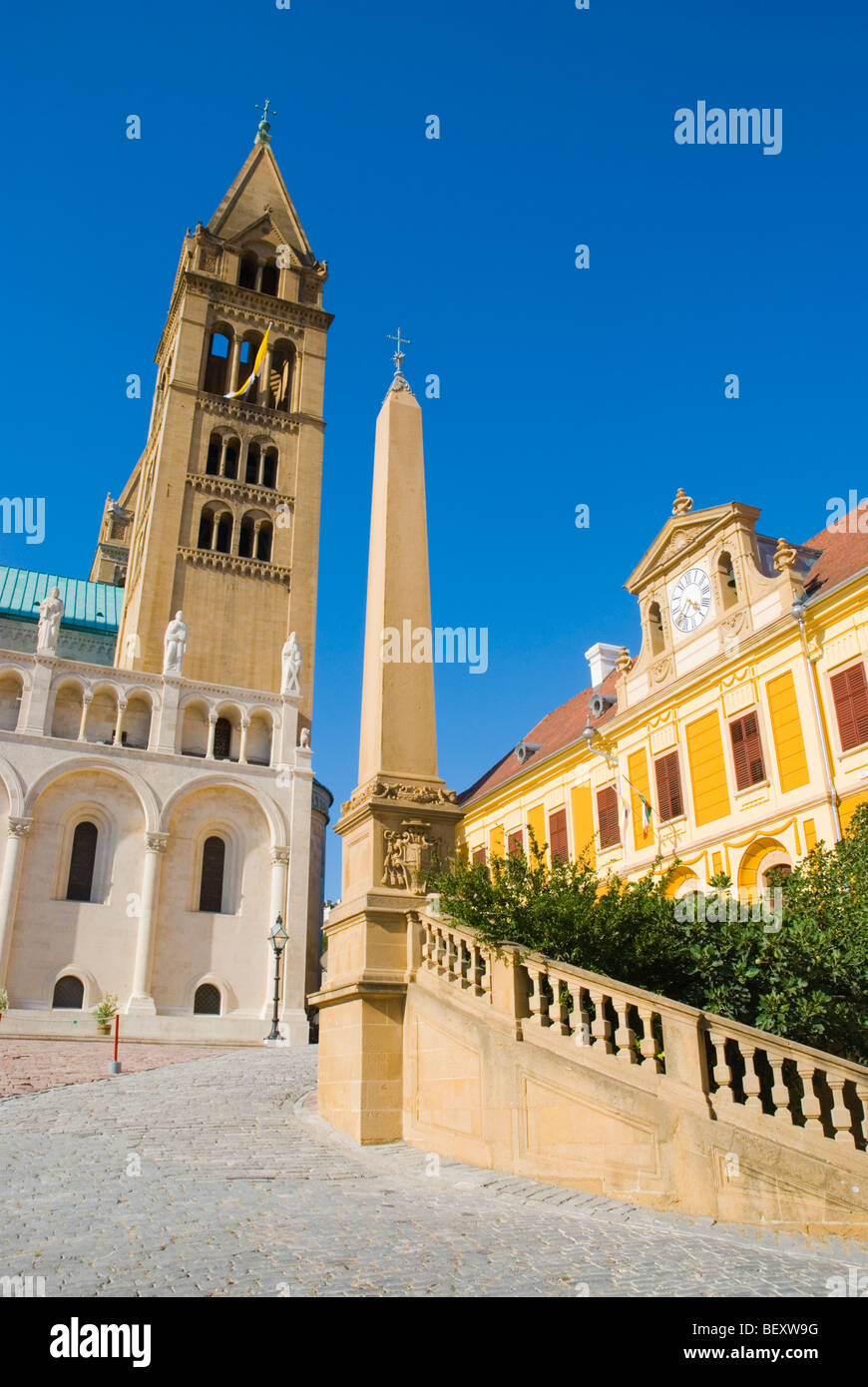 Dom ter square with Szent Peter Bazilika the St Peter Basilica in Pecs ...