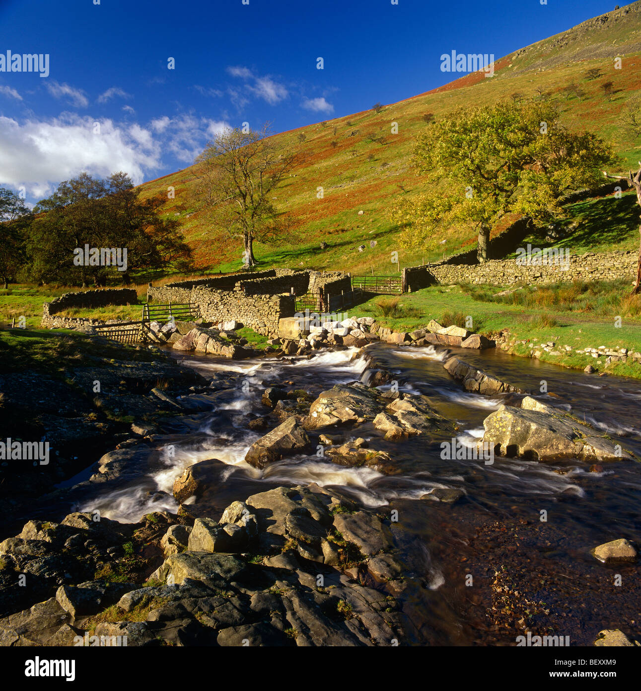 Barbon hi-res stock photography and images - Alamy
