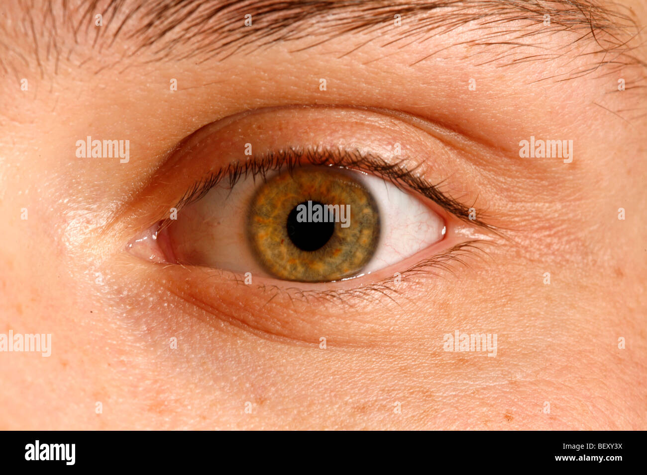 Frightened eye hi-res stock photography and images - Alamy