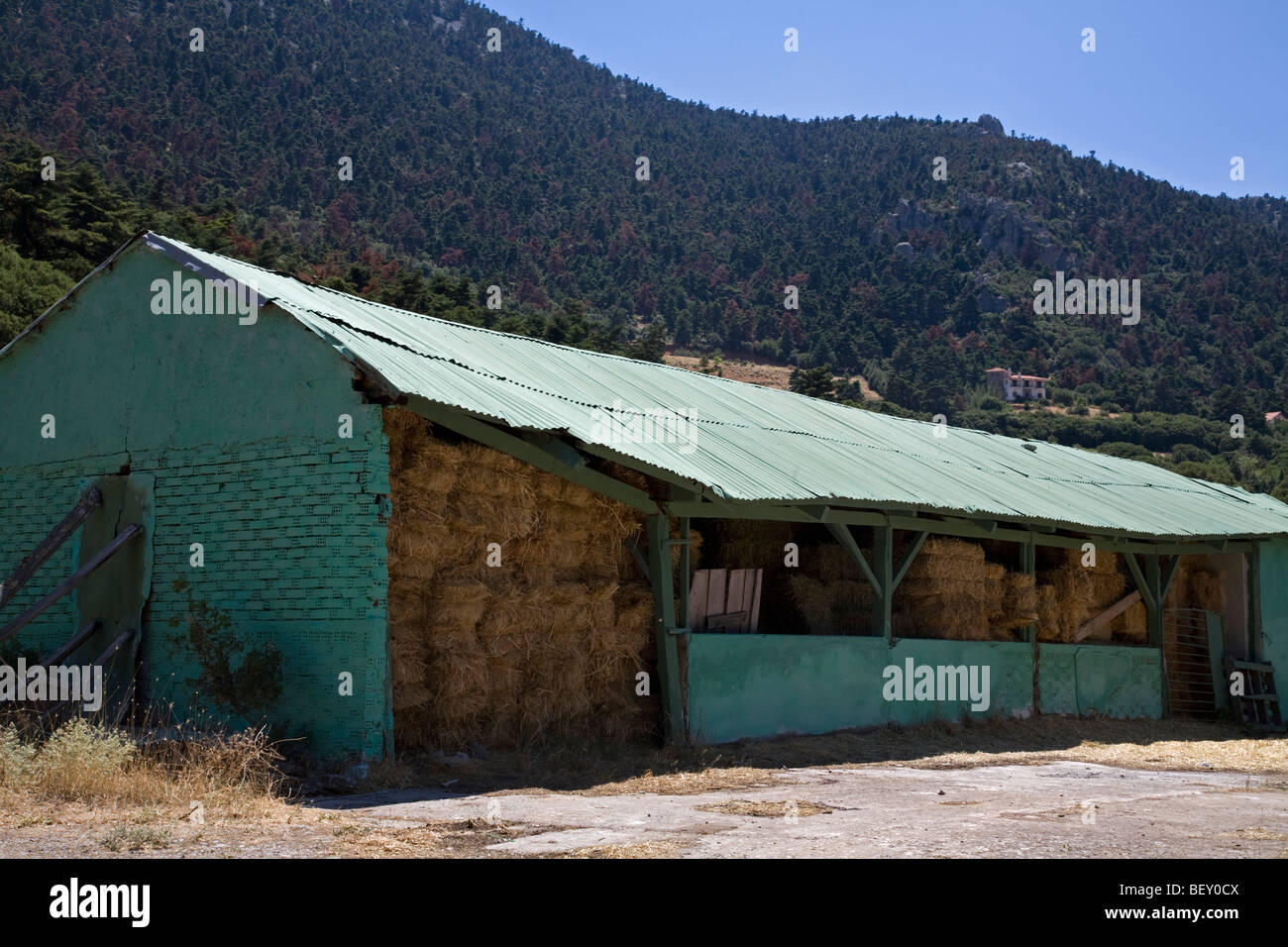 Barn filled with Hay near Mount Parnassus Sterea Eleada Greece Stock ...