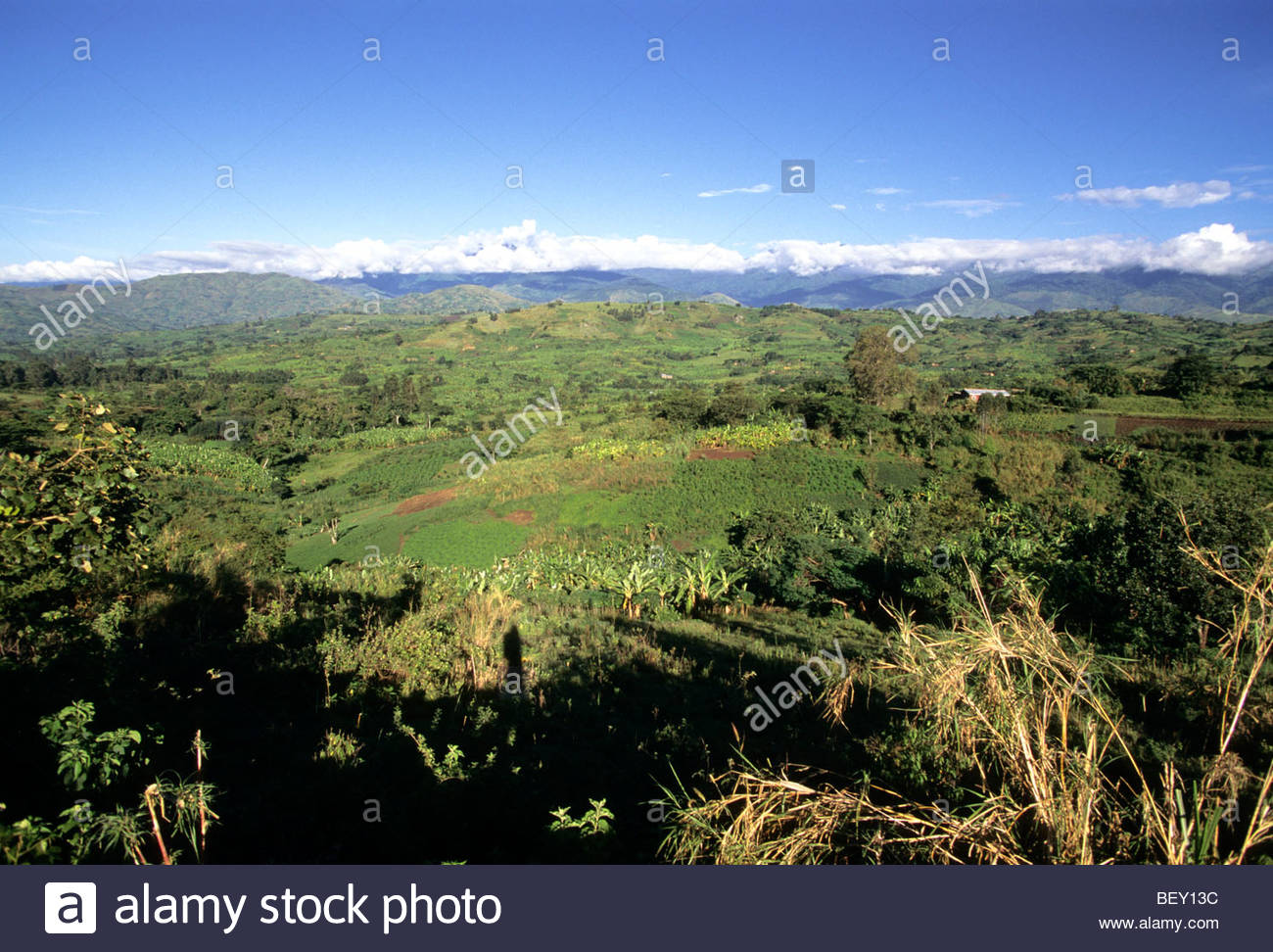 Kabale Uganda Africa Stock Photos & Kabale Uganda Africa Stock Images ...