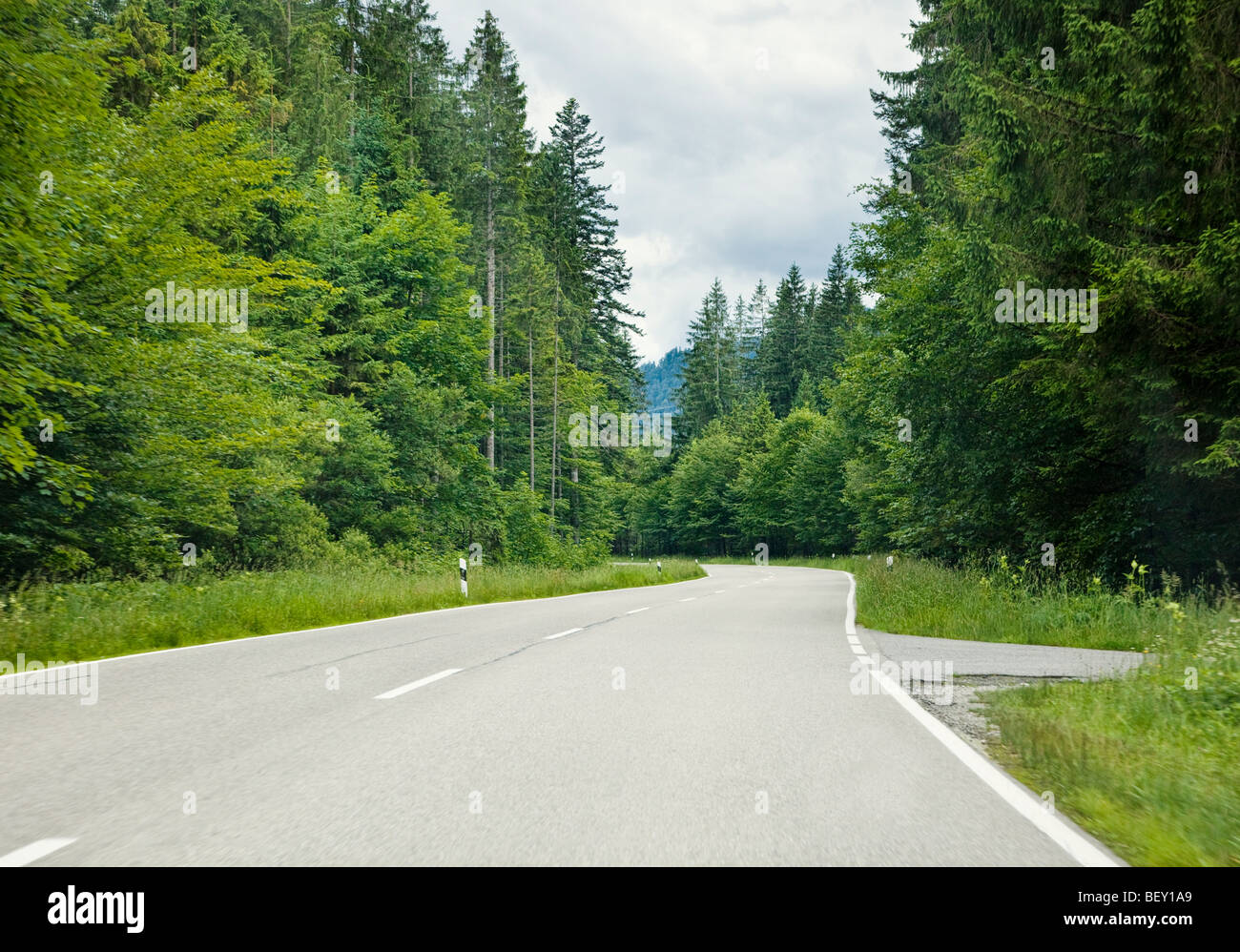 Highway in forest hi-res stock photography and images - Alamy