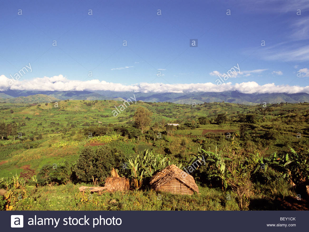 Ruwenzori Mountains Uganda High Resolution Stock Photography and Images ...