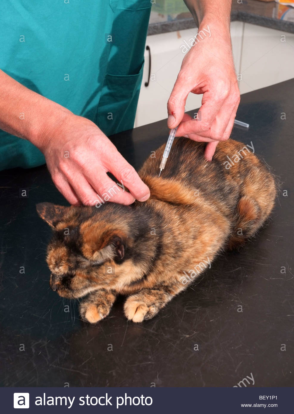 Half Puncture High Resolution Stock Photography and Images - Alamy