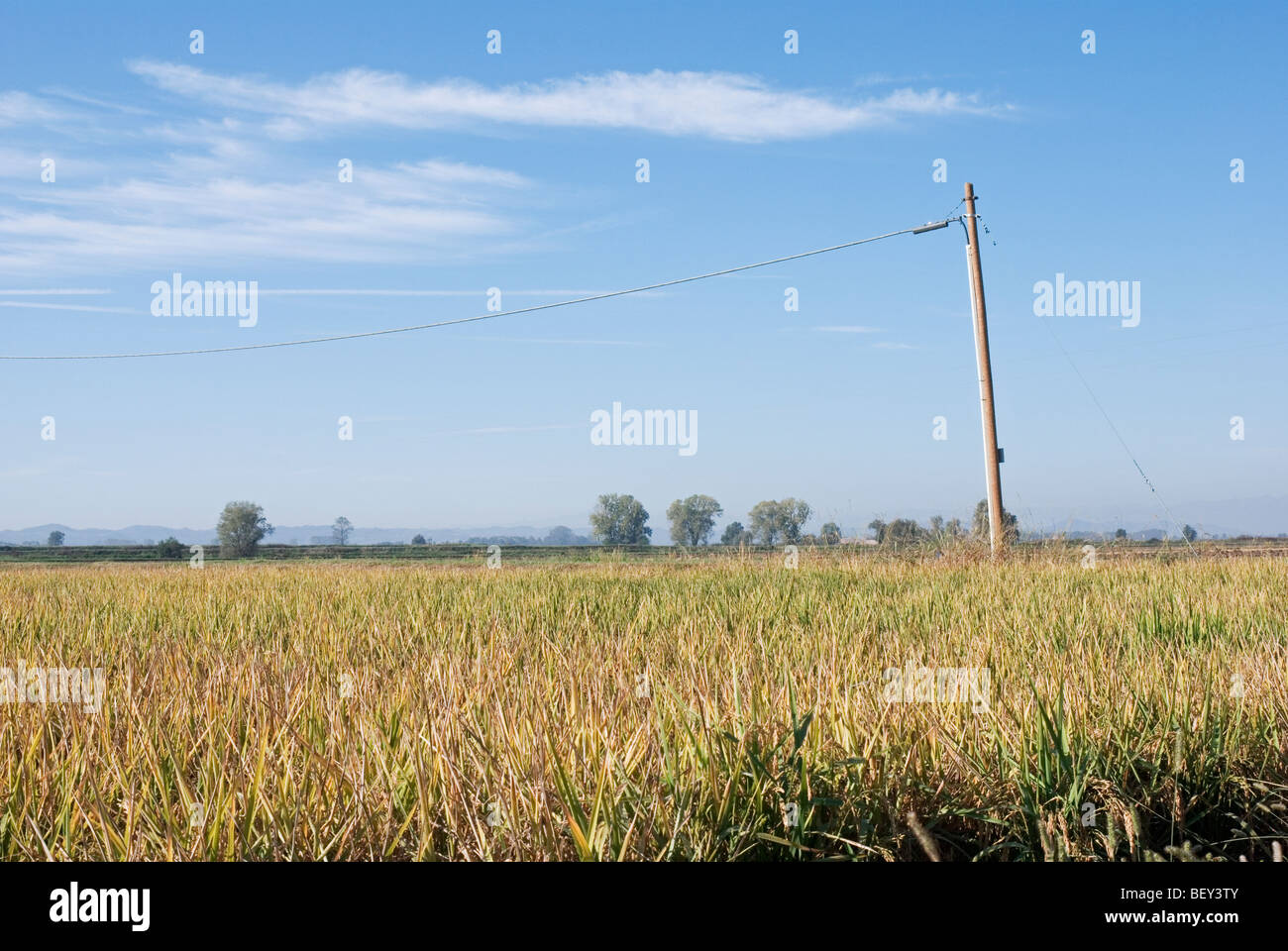 rice fields - Pianura Padana (Padan Plain) - Vercelli province ...