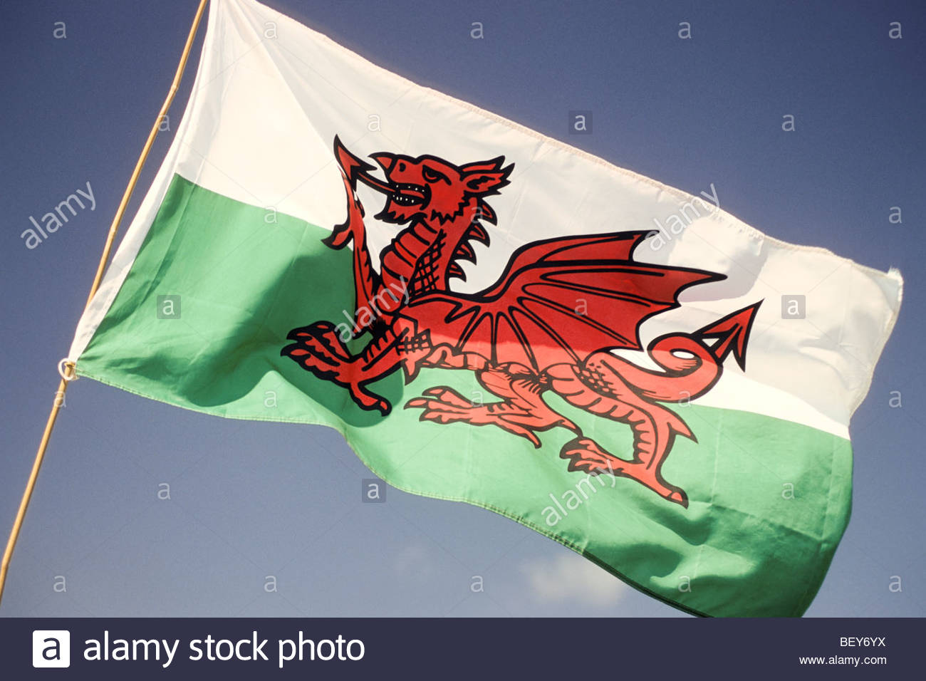 Welsh Flag High Resolution Stock Photography and Images - Alamy
