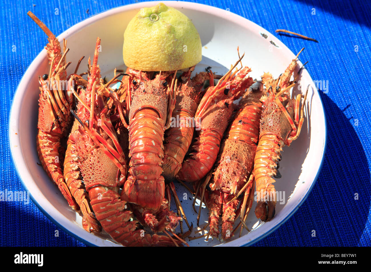 a plate of freshly barbecued langoustine Stock Photo - Alamy