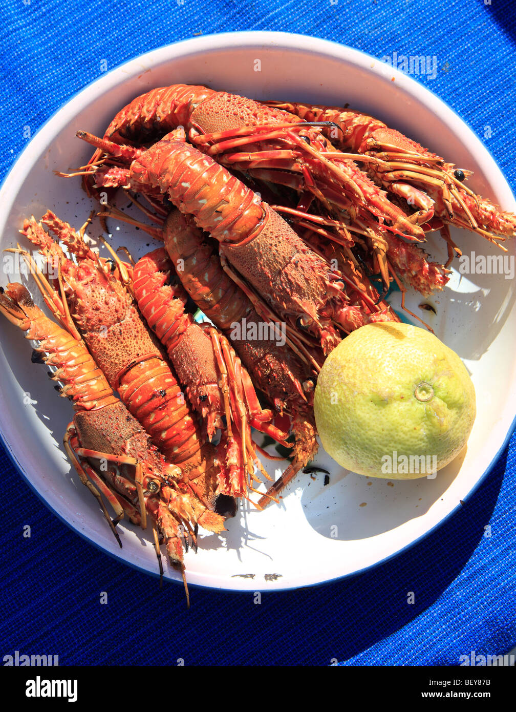 Langoustine lobster hi-res stock photography and images - Alamy