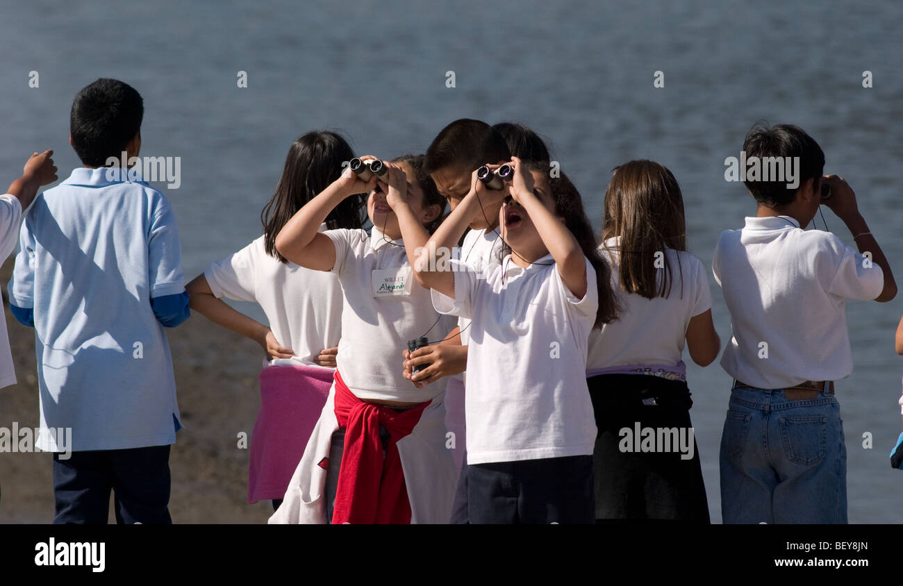 Children Using Binoculars to Bird Watch Stock Photo - Alamy