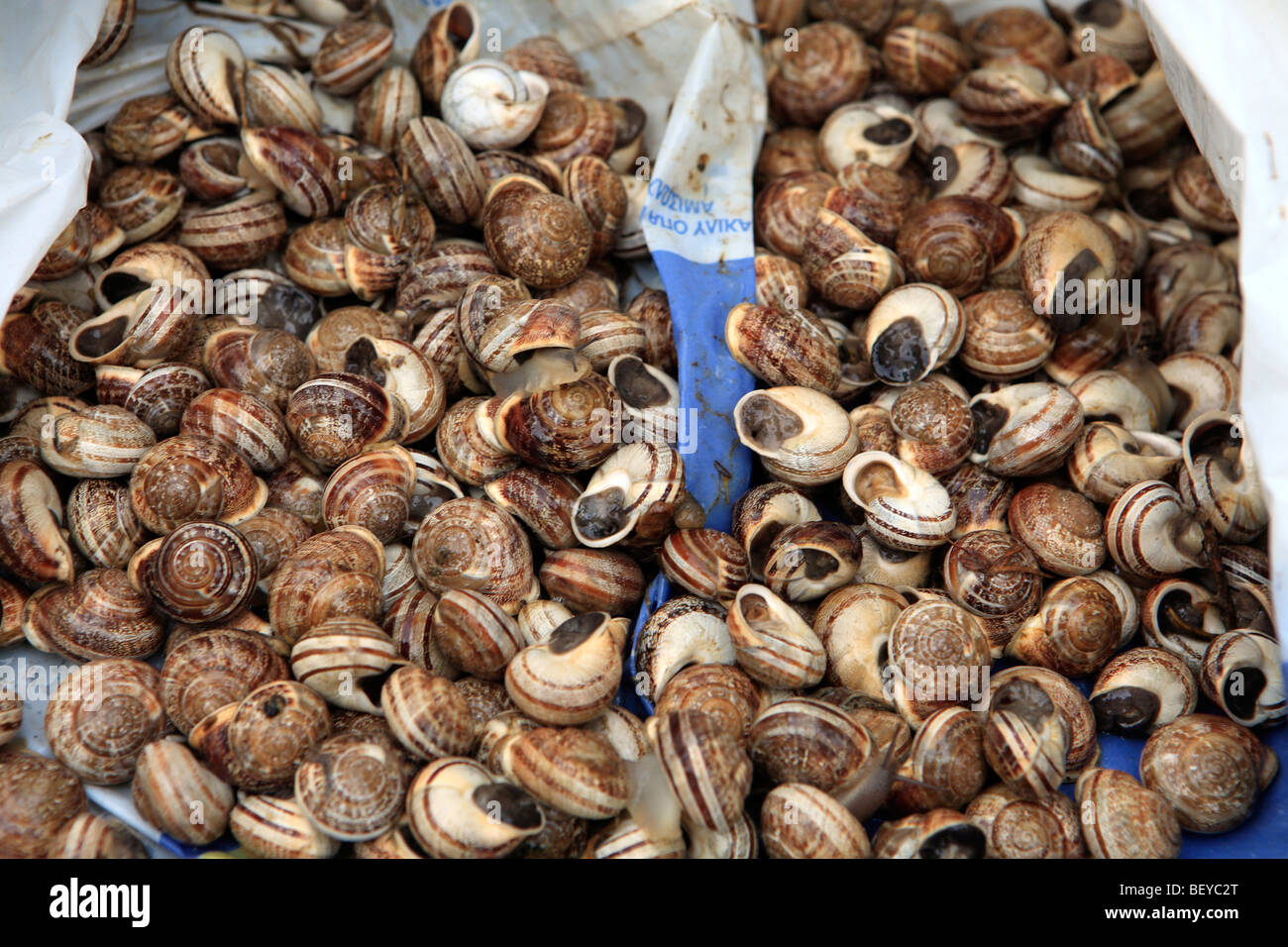 greece cyclades sikinos freshly collected snails Stock Photo - Alamy