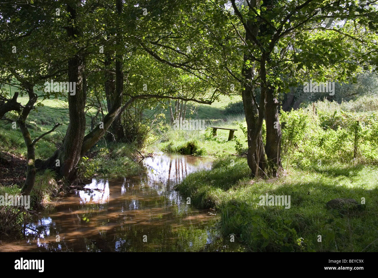 A tree-lined country stream with bench: Somerset, UK Stock Photo - Alamy