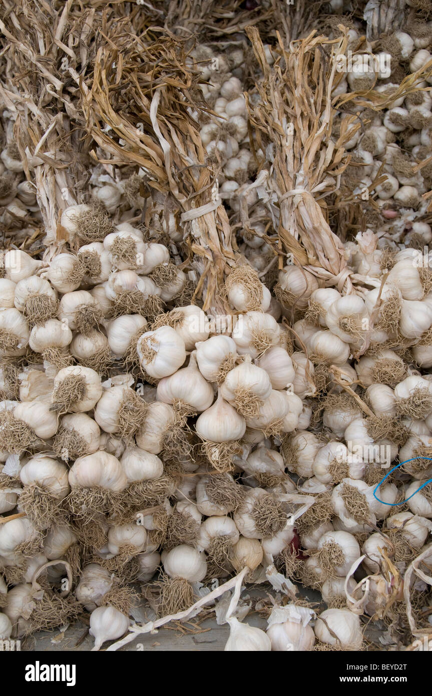 Beykoz Market Istanbul Turkey Asian Muslim Islam side of the Bosphorus ...