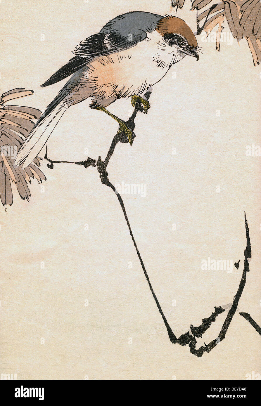 Japanese Woodblock print bird in tree Stock Photo - Alamy
