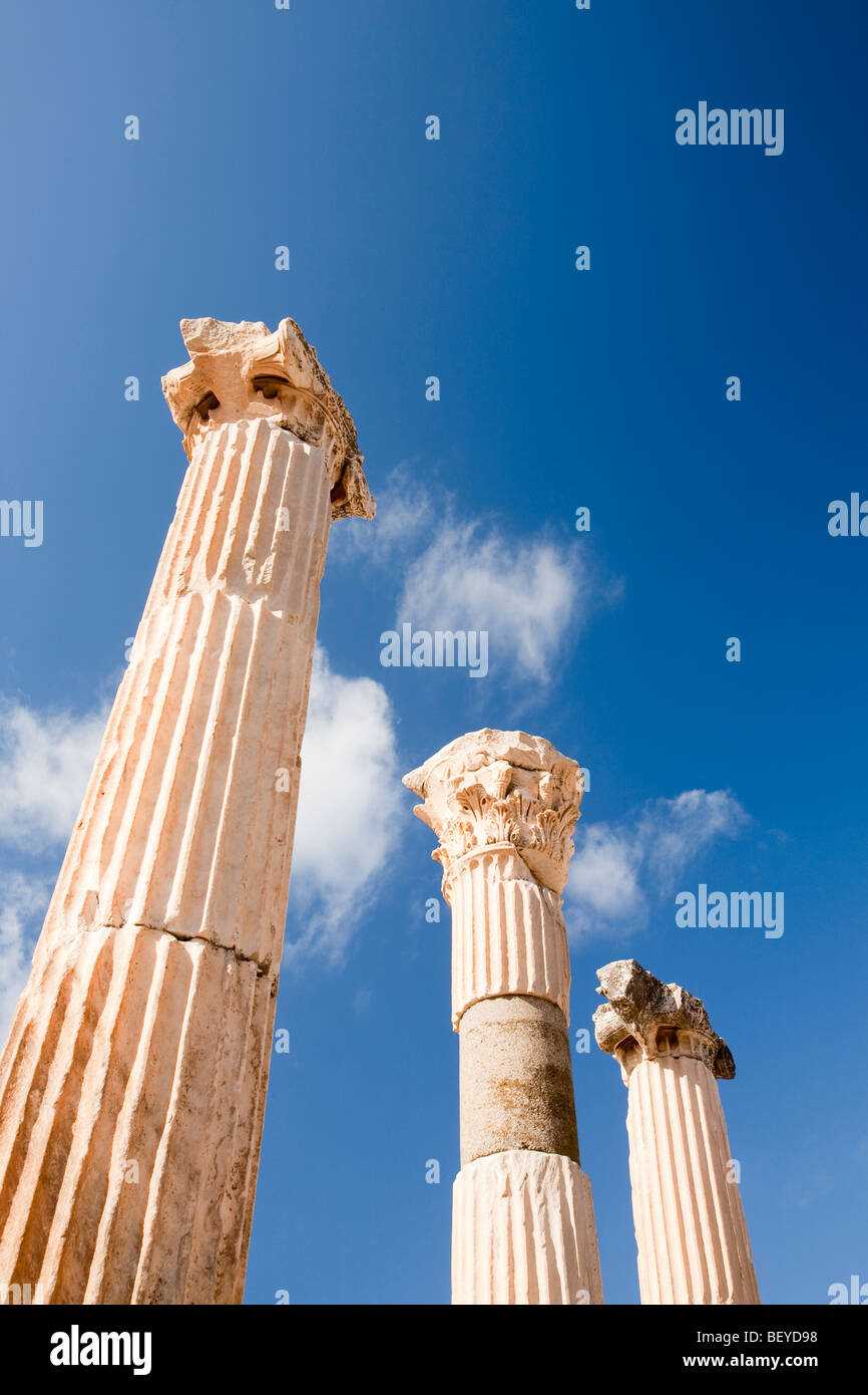 Ancient pillars at Ephasus in Turkey Stock Photo - Alamy