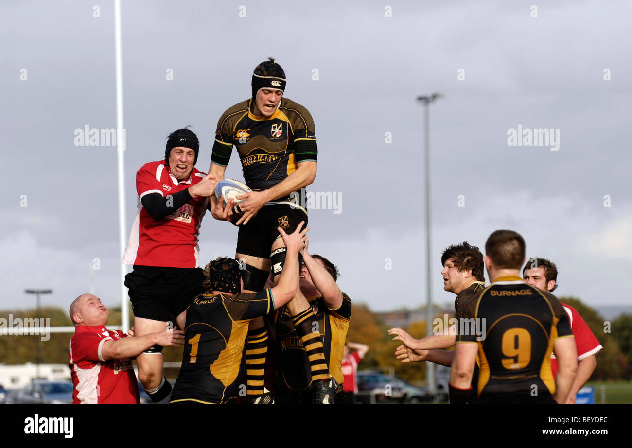 winning the ball at rugby lin-out Stock Photo - Alamy
