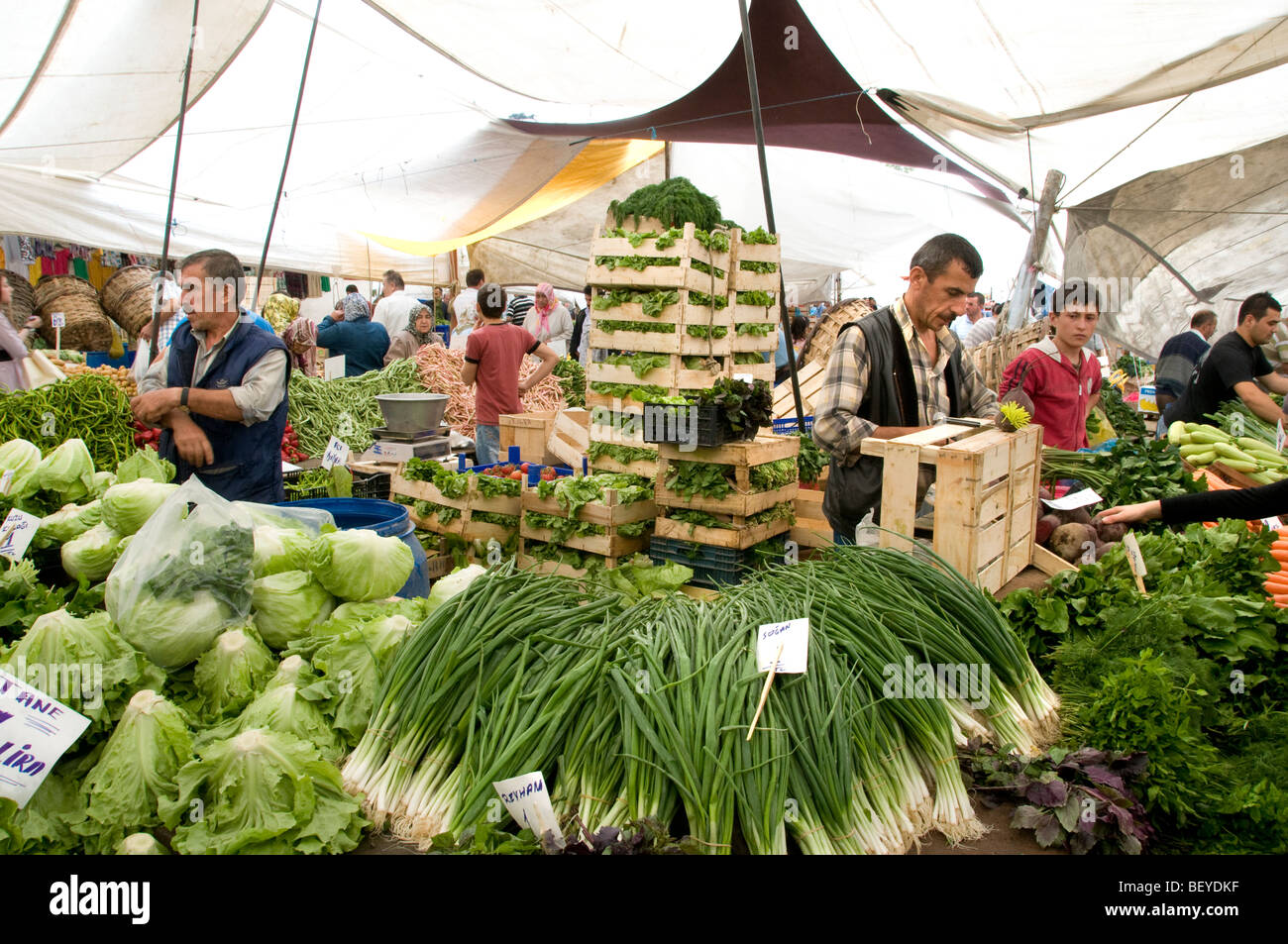Beykoz Market Istanbul Turkey Asian Muslim Islam side of the Bosphorus ...
