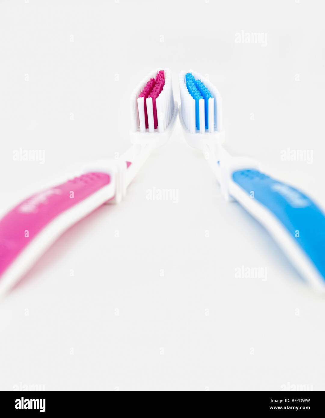 toothbrush blue pink Stock Photo - Alamy
