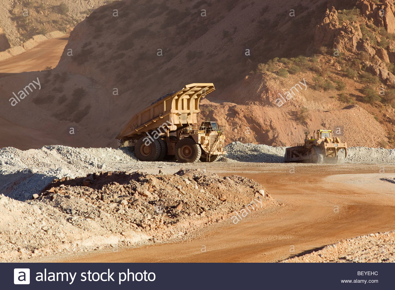 Cat 240 High Resolution Stock Photography and Images - Alamy