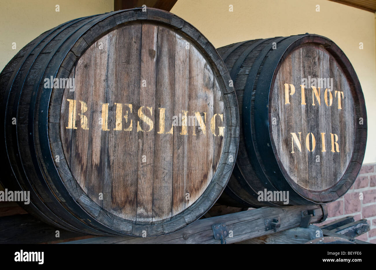 Traditional wine barrel 'Riesling' and 'Pinot Noir' in typical Alsace ...