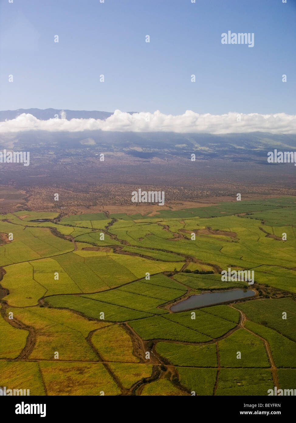 Sugar cane farming, Maui, Hawaii, Aerial View Stock Photo - Alamy